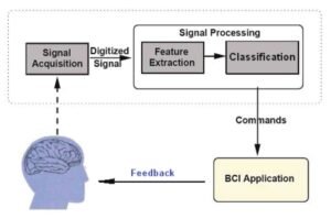 Brain Computer Interaction (BCI): A Way to Interact with Brain Waves